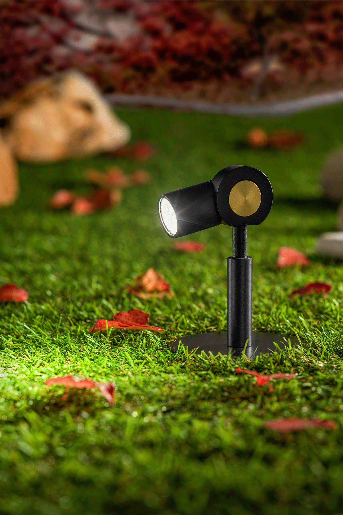 Zava - Anthropology Resources Inc